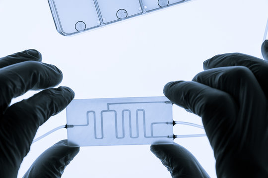 Lab-On-A-Chip Images – Browse 305 Stock Photos, Vectors, and Video ...