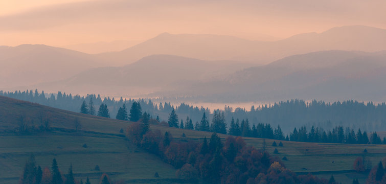 "Tonal Background" Images – Browse 149 Stock Photos, Vectors, and Video ...