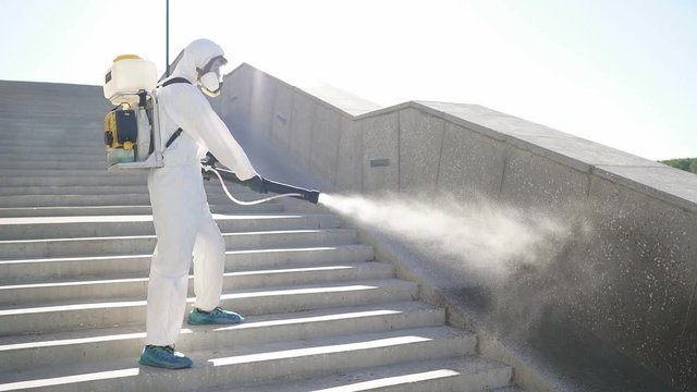 Disinsection Images – Browse 840 Stock Photos, Vectors, and Video ...