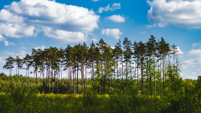 Piase Images – Browse 11 Stock Photos, Vectors, and Video | Adobe Stock