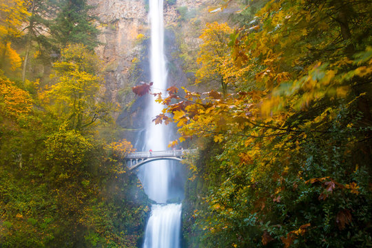 Multnomah Falls Fall
