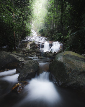 Albert Yoon photos, images, assets | Adobe Stock