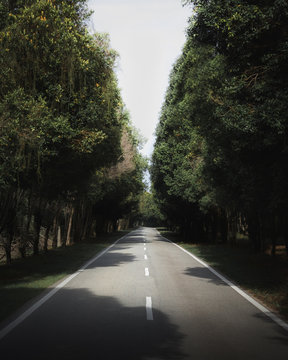 Albert Yoon photos, images, assets | Adobe Stock