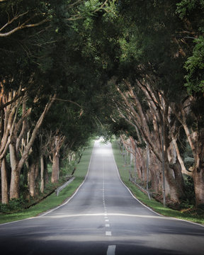 Albert Yoon photos, images, assets | Adobe Stock