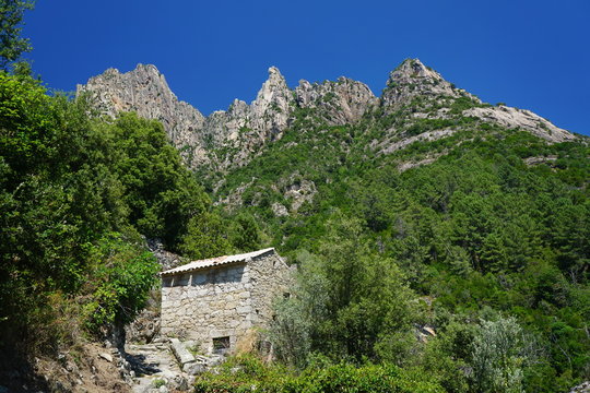 Muna Images – Browse 1,051 Stock Photos, Vectors, and Video | Adobe Stock