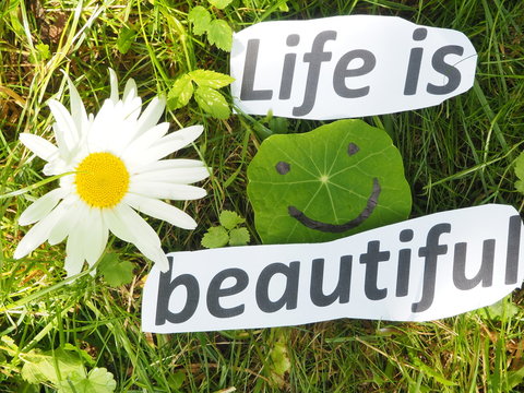 "Life Is Beautiful" Images – Browse 575 Stock Photos, Vectors, and ...