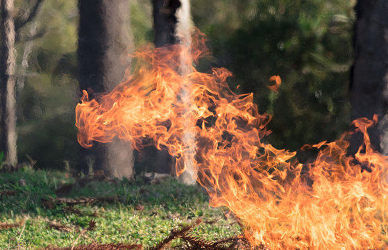 รูปภาพFogo – เลือกดูภาพถ่ายสต็อก เวกเตอร์ และวิดีโอ7,652 | Adobe Stock