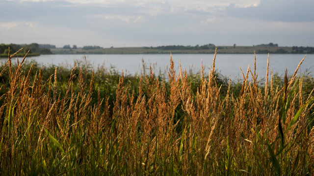 「Novomoskovsk」の画像 - 869 件の Stock 写真、ベクターおよびビデオ | Adobe Stock