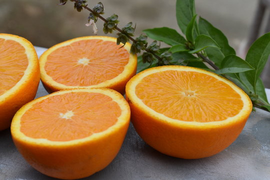 รูปภาพTangy – เลือกดูภาพถ่ายสต็อก เวกเตอร์ และวิดีโอ18,130 | Adobe Stock