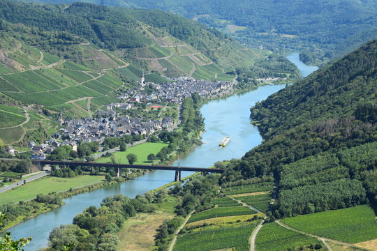 รูปภาพNeef – เลือกดูภาพถ่ายสต็อก เวกเตอร์ และวิดีโอ314 | Adobe Stock