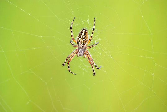 Noga Images – Parcourir 3,392 le catalogue de photos, vecteurs et ...