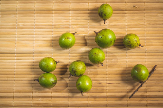 Kinnip Bilder – Durchsuchen 3,314 Archivfotos, Vektorgrafiken und ...