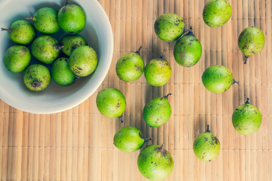 Kinnip Bilder – Durchsuchen 3,314 Archivfotos, Vektorgrafiken und ...