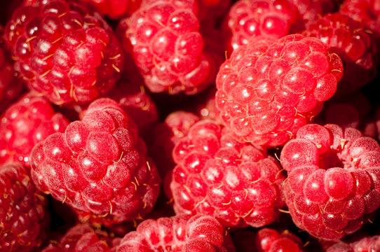 "Raspberry Background" Images – Browse 304 Stock Photos, Vectors, and ...