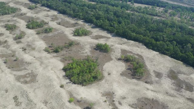 Letea Bilder – Durchsuchen 661 Archivfotos, Vektorgrafiken und Videos ...