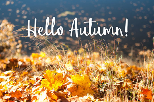 Hello Autumn Images – Browse 63,735 Stock Photos, Vectors, and Video ...