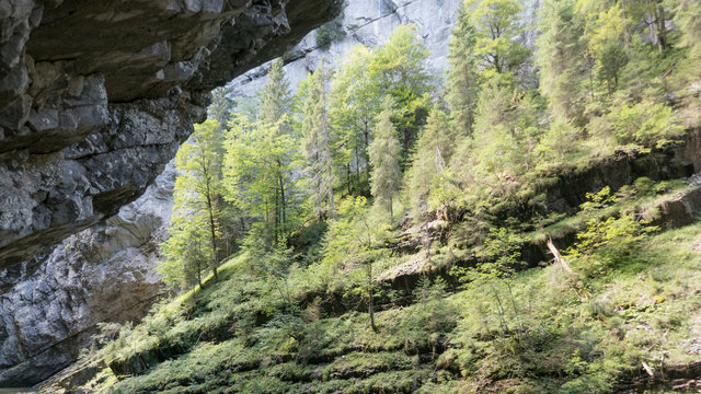 Berghang bilder – Bläddra bland 4,757 stockfoton, vektorer och videor ...