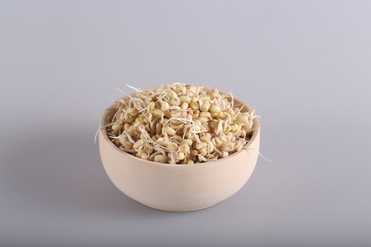 "Sprouted Grain" Images – Browse 511 Stock Photos, Vectors, and Video ...