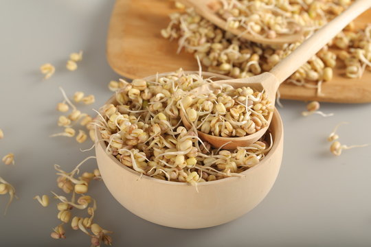 "Sprouted Grain" Images – Browse 511 Stock Photos, Vectors, and Video ...