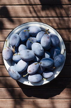 รูปภาพDamsons – เลือกดูภาพถ่ายสต็อก เวกเตอร์ และวิดีโอ8,040 | Adobe Stock