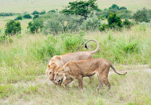 Civility Images – Browse 6,314 Stock Photos, Vectors, and Video | Adobe ...