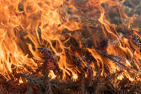 รูปภาพFogo – เลือกดูภาพถ่ายสต็อก เวกเตอร์ และวิดีโอ7,652 | Adobe Stock