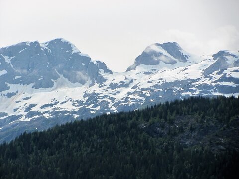 รูปภาพSenic – เลือกดูภาพถ่ายสต็อก เวกเตอร์ และวิดีโอ1,114 | Adobe Stock