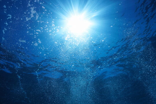 Underwater Looking Up At Sun