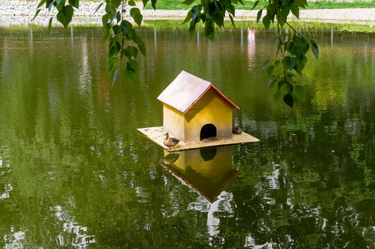 "Duck House" Images – Browse 483 Stock Photos, Vectors, and Video ...
