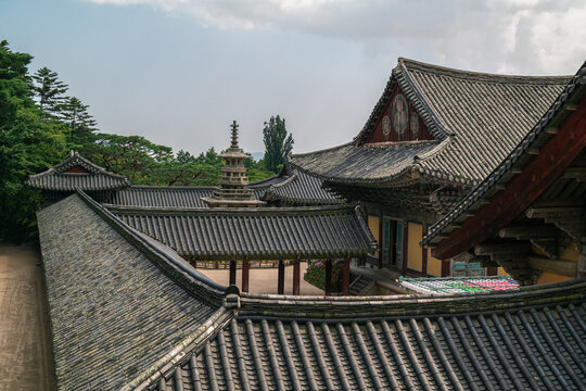 รูปภาพDabotap – เลือกดูภาพถ่ายสต็อก เวกเตอร์ และวิดีโอ277 | Adobe Stock