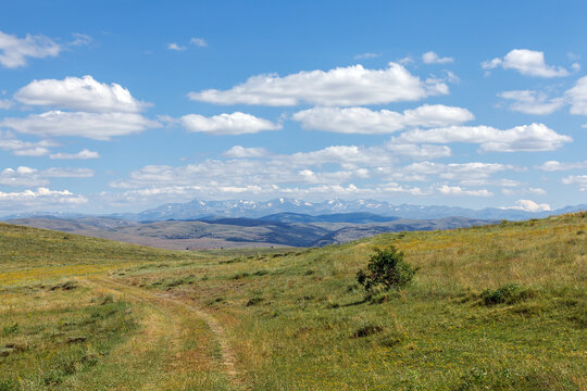 Kesis Images – Browse 52 Stock Photos, Vectors, and Video | Adobe Stock