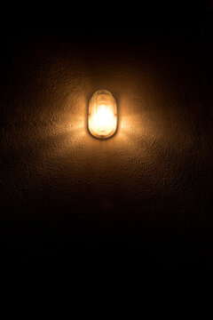 "Tungsten Light" Images – Browse 149 Stock Photos, Vectors, and Video ...