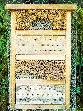 Einnisten Images – Browse 95 Stock Photos, Vectors, and Video | Adobe Stock