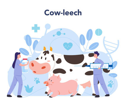 Cow-Leech Images – Browse 94 Stock Photos, Vectors, and Video | Adobe Stock