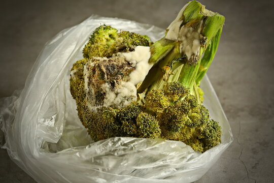 Rotten Broccoli