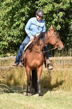 Aufsitzen Images – Browse 88 Stock Photos, Vectors, and Video | Adobe Stock