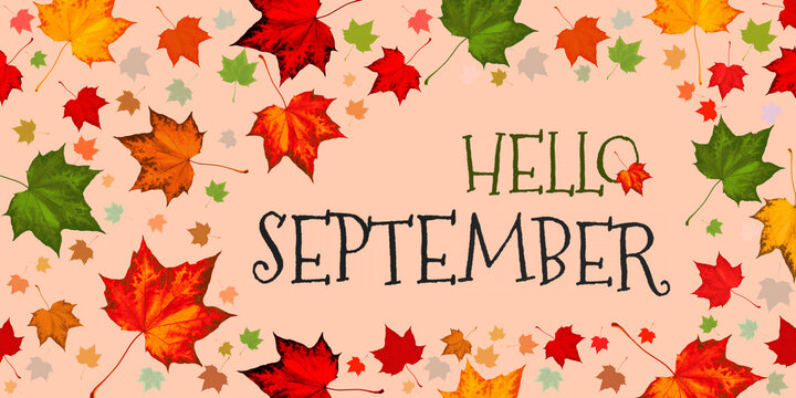 "Maple Leaf Background" Images – Parcourir 459 le catalogue de photos ...