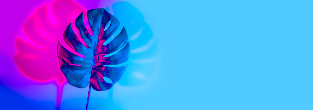Tropical Gradient Background Images – Browse 83,340 Stock Photos ...