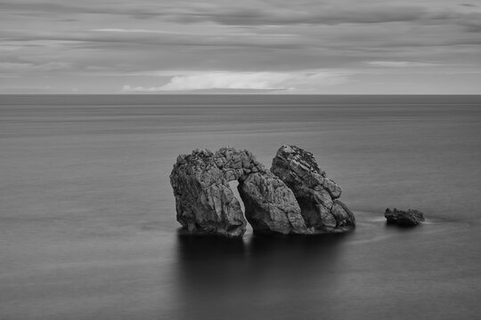 Imágenes de Urro: descubre bancos de fotos, ilustraciones, vectores y ...