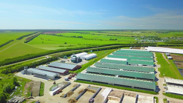 "Livestock Farms" Images – Browse 938 Stock Photos, Vectors, and Video ...