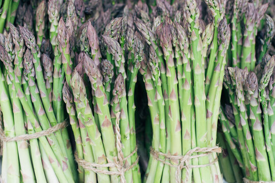 「固める」の写真素材 | 4,310,065件の無料イラスト画像 | Adobe Stock