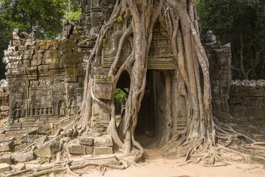 Garrote Images – Parcourir 1,061 le catalogue de photos, vecteurs et ...