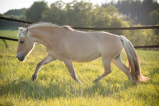 รูปภาพCloping – เลือกดูภาพถ่ายสต็อก เวกเตอร์ และวิดีโอ4,168 | Adobe Stock