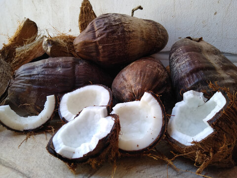 "Coco Seco" Images – Browse 95 Stock Photos, Vectors, and Video | Adobe ...