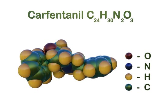 Wildnil Images – Browse 40 Stock Photos, Vectors, and Video | Adobe Stock