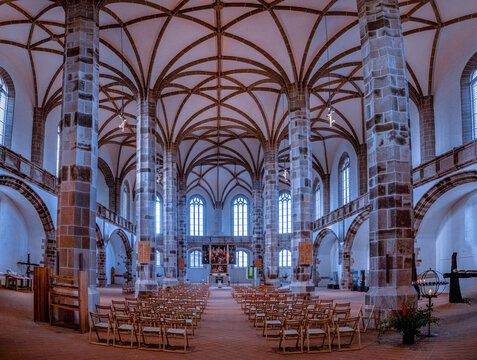 Gelse Bilder – Durchsuchen 572 Archivfotos, Vektorgrafiken und Videos ...