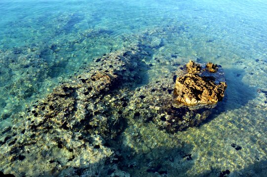 "Dno Oceaniczne"-Bilder: Stock-Fotos & -Videos. | Adobe Stock