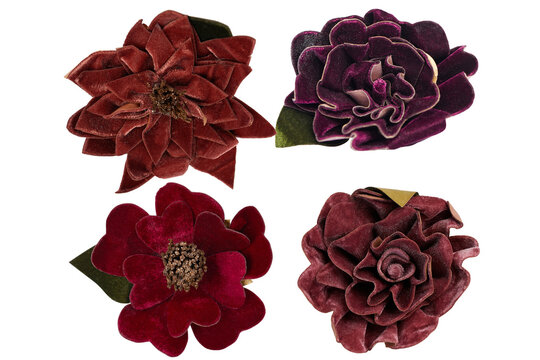 "Velvet Flower" Images – Browse 1,927 Stock Photos, Vectors, and Video ...