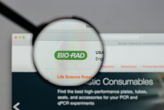 รูปภาพ"Rad – เลือกดูภาพถ่ายสต็อก เวกเตอร์ และวิดีโอ88,727 | Adobe Stock