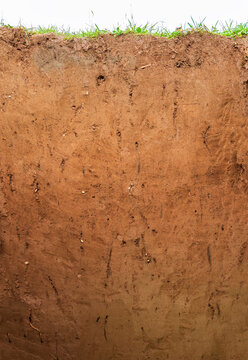 รูปภาพLoam – เลือกดูภาพถ่ายสต็อก เวกเตอร์ และวิดีโอ2,004,835 | Adobe Stock